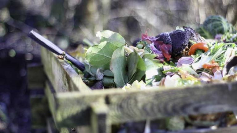 USDA reveals $9.4 million compost investment plans to fight food waste