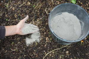 Ash in Compost: 6 Powerful Benefits (and How to Use It Right!)
