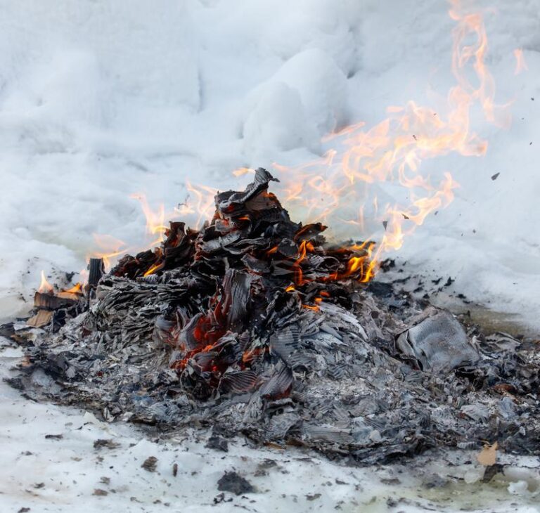 Ash in Compost: 6 Powerful Benefits (and How to Use It Right!)